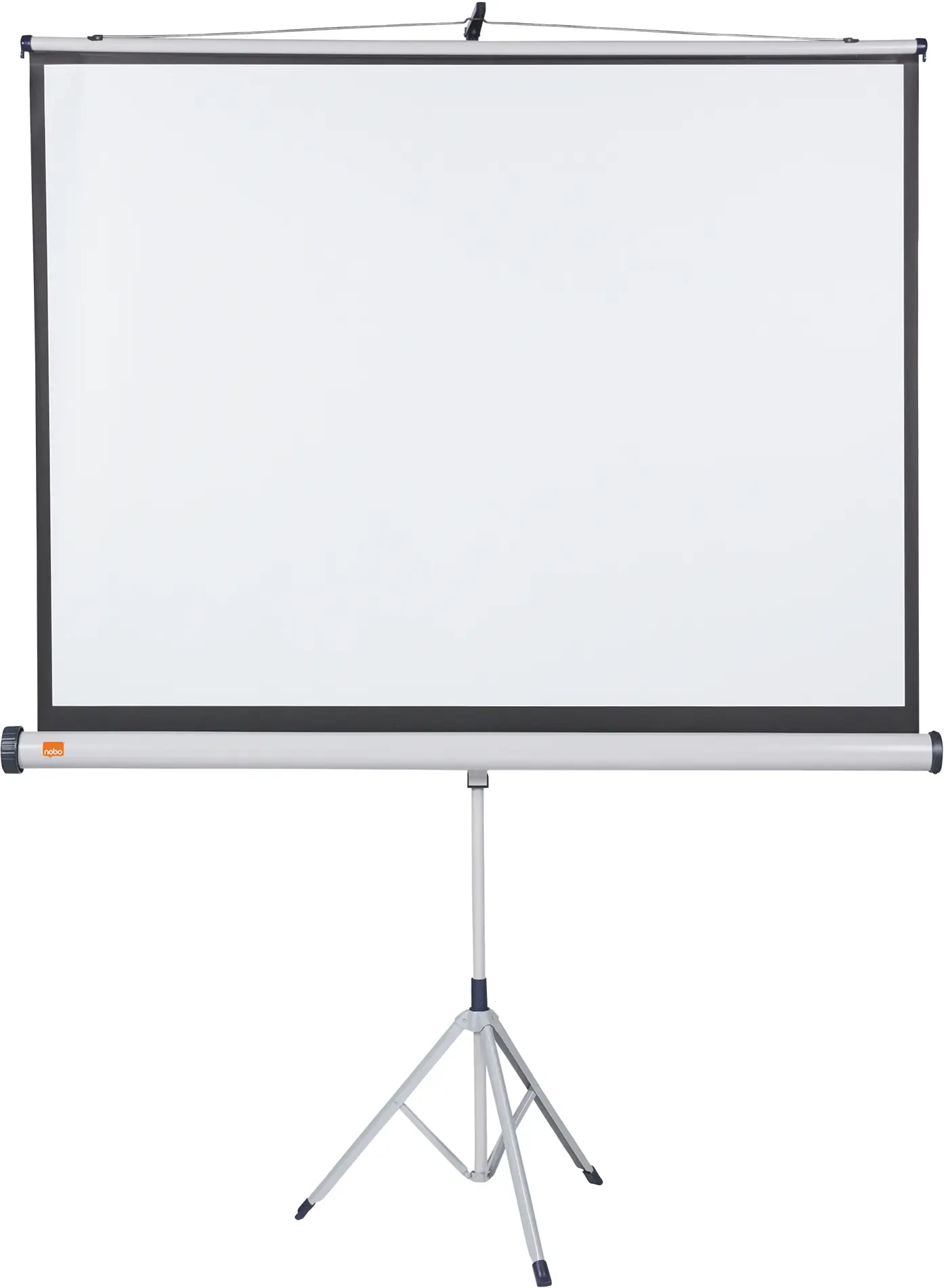 Projector Screens for Offices