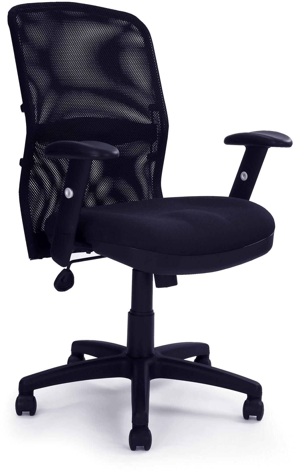 Nautilus Jupiter Manager Chair with Adjustable Lumbar Support - Office ...