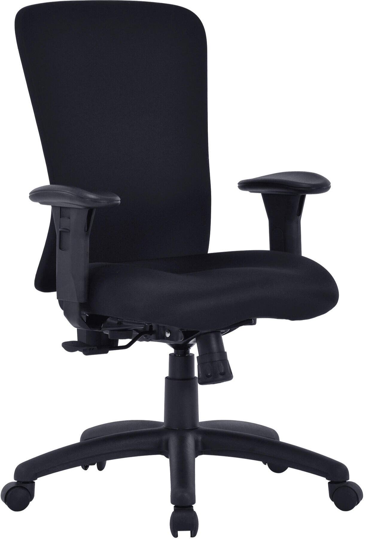 Nautilus Fortis Manager Chair: Style, Substance and Adjustable Comfort ...