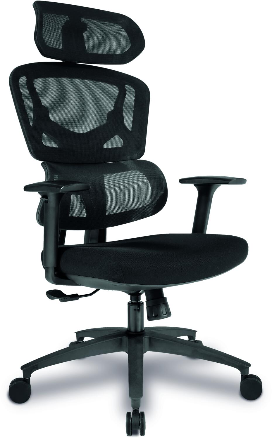 Nautilus Trinity Mesh Chair - Ultimate Ergonomic Support - Office ...