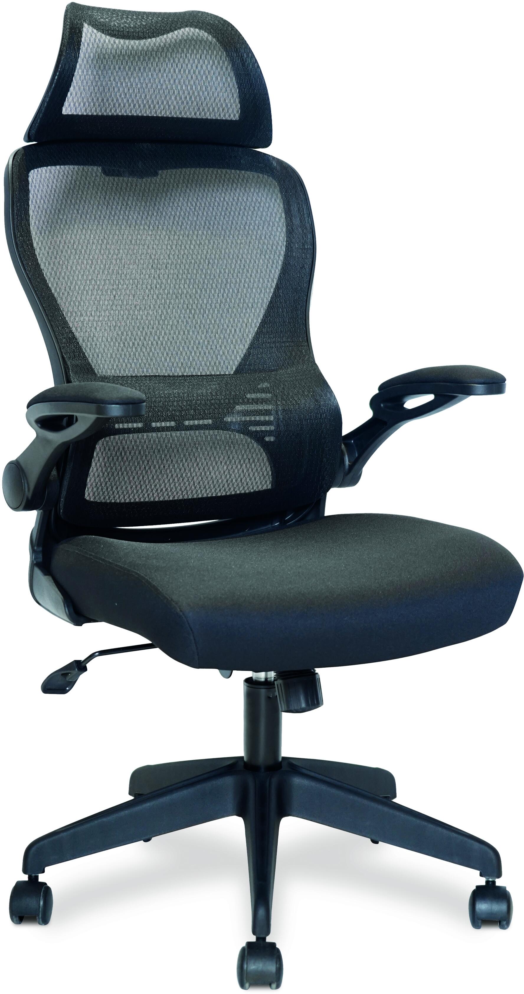 Nautilus Canis High Back Mesh Chair with Foldable Arms - Office ...