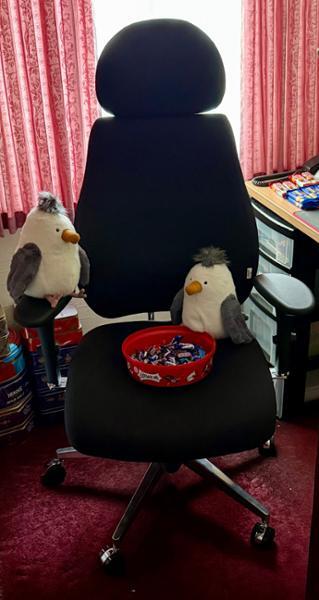 Dynamic Chiro Plus Ergo Posture Chair - Combat Back Pain at Work ...