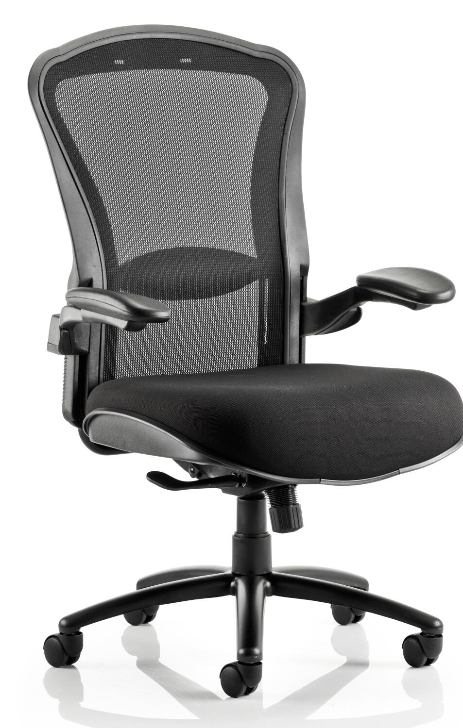 Dynamic Houston Heavy Duty Executive Office Chair, 32 Stone Capacity ...