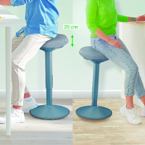 Leitz Ergo Active Standing Stool with Comfort Seat - Office Furniture ...