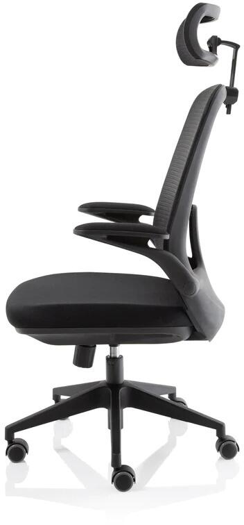 Sigma Executive Chair: Modern Design, Breathable Mesh & Adjustable ...