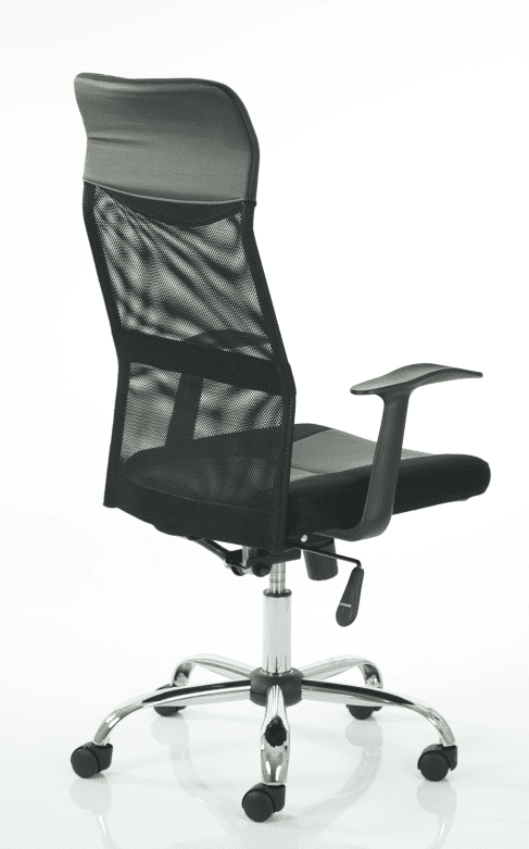 Dynamic Vegalite Mesh Chair with Lumbar Support and Leather Seat ...